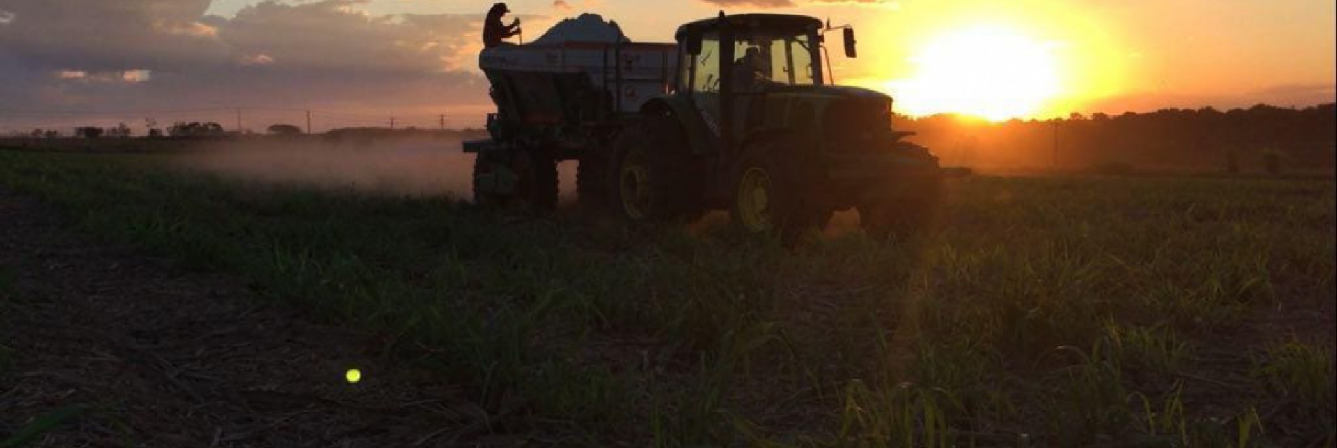 Mosaic Fertilizantes obtém certificação orgânica em solução para ...